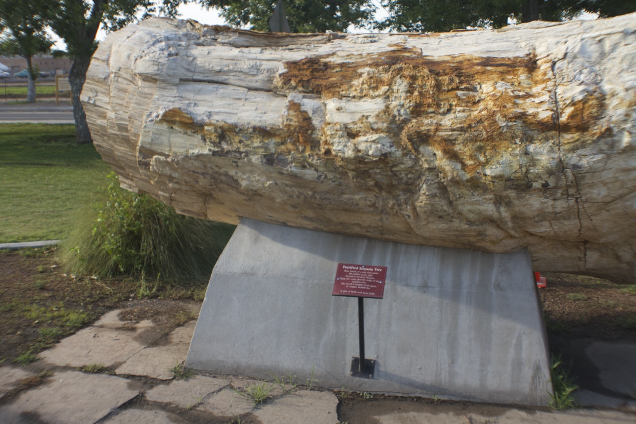 Zuhl Museum - Ranked The Best Las Cruces